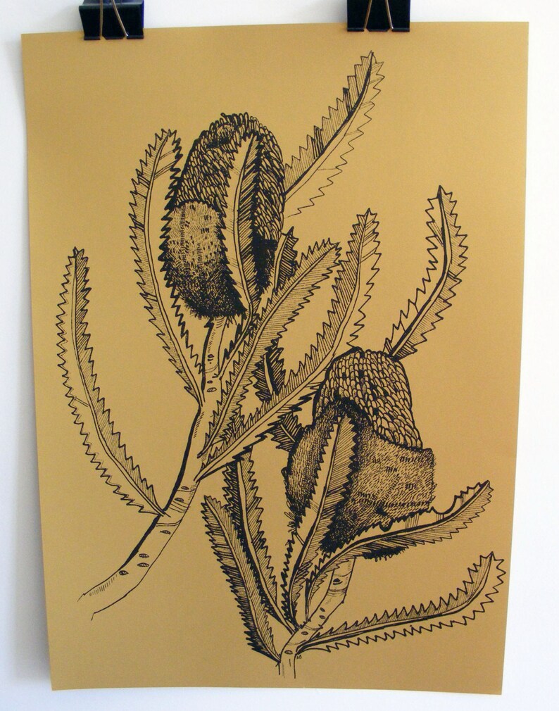 Illustration of a Banksia Screen Printed Onto Matt Gold Card. - Etsy