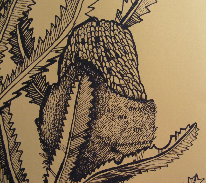 Illustration of a Banksia Screen Printed Onto Matt Gold Card. - Etsy