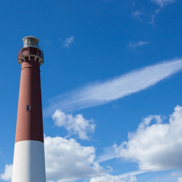 Barney Photo Photography - Etsy