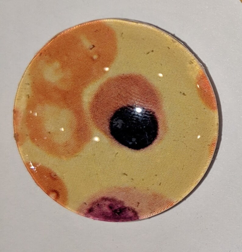 White Blood Cell Magnets | Etsy