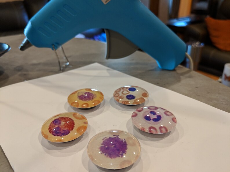 White Blood Cell Magnets | Etsy