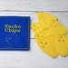 ITH Nacho Chips Pattern - Play Food - Machine Embroidery Design - Felt ...