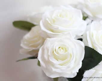 White cabbage rose | Etsy