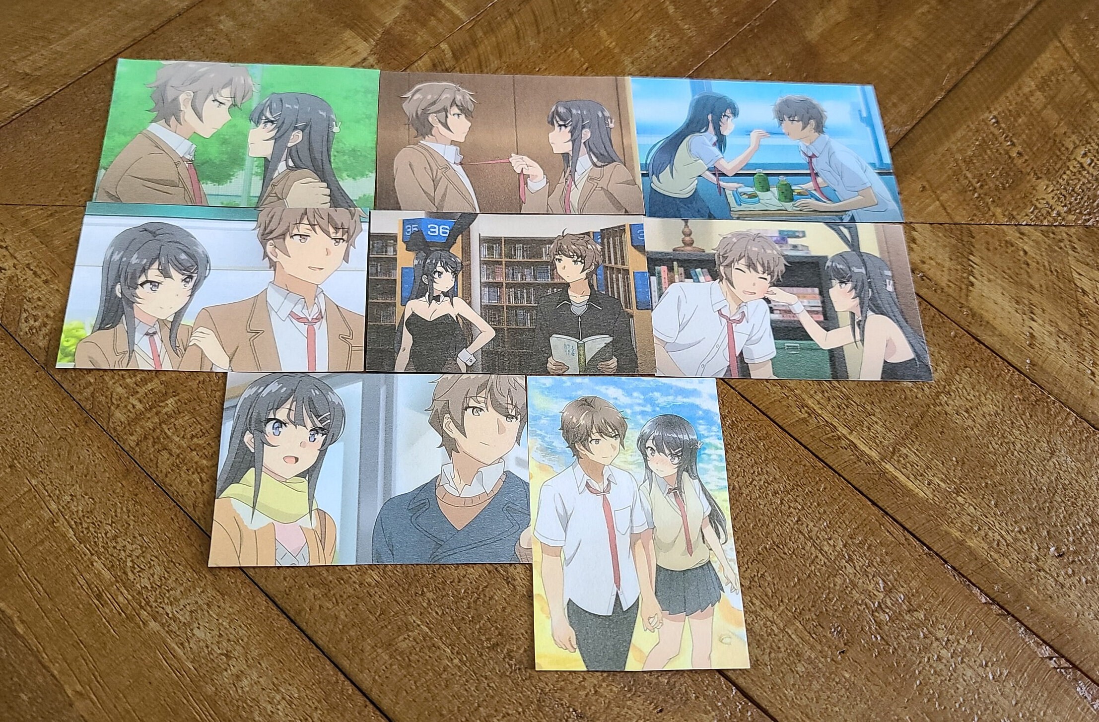 Rascal Bunny Fanmade Anime Photocards - Etsy