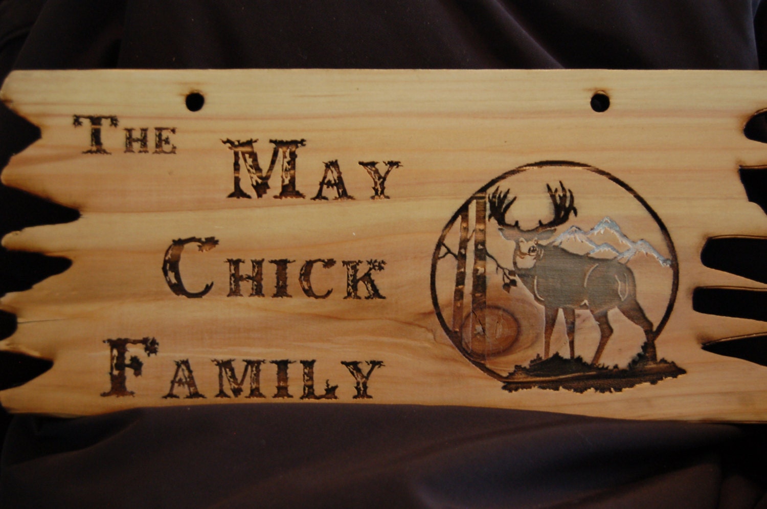 Cedar Door Sign. Laser Engraved With Family Name. - Etsy