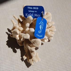Scuba Diver BCD ID Tags. Custom Engraving. - Etsy