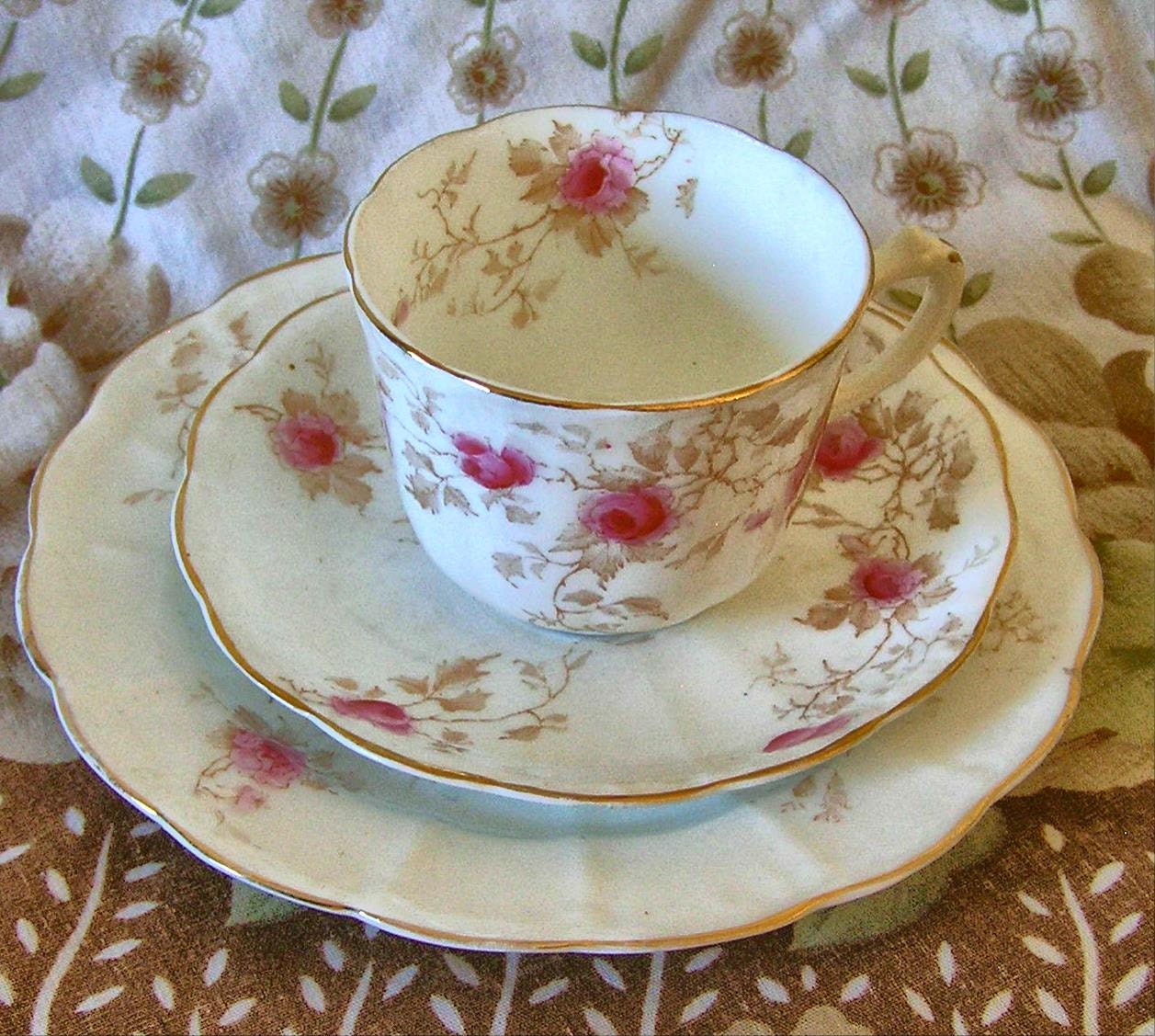 Antique Allerton1891 Stunning Bone China Classic Rose Pattern Cup ...