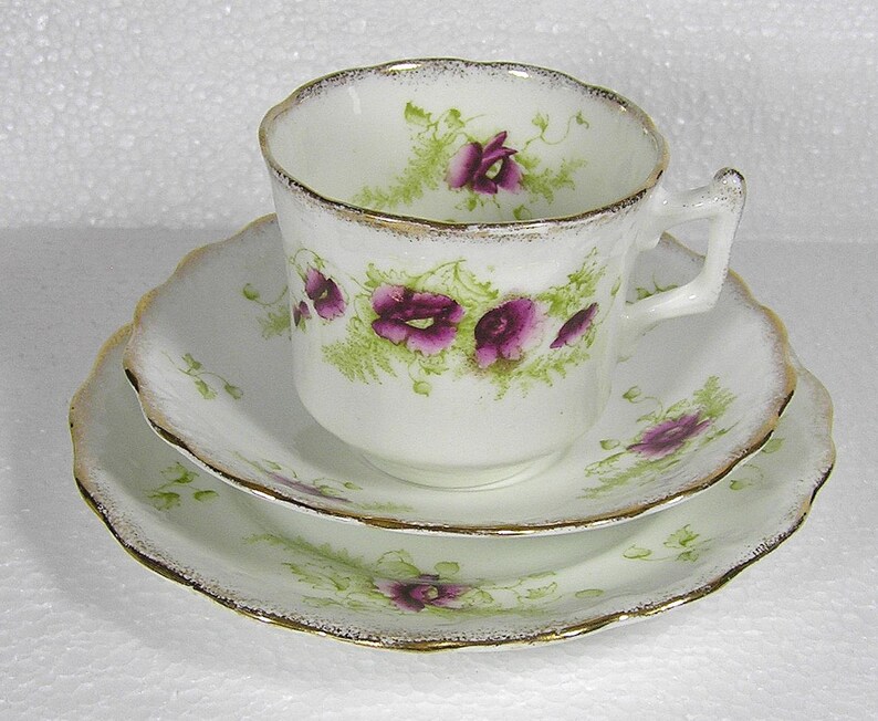 Art Deco J H Cope Wellington China 1906 Floral Pattern Trio Cup Saucer ...