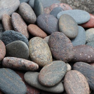 70 Oval Shaped Stones MEDIUM - Etsy