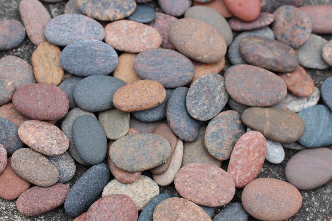 Oval Shaped Beach Rocks Sea Stones Oval Pebbles Bulk 100 Pcs SMALL - Etsy