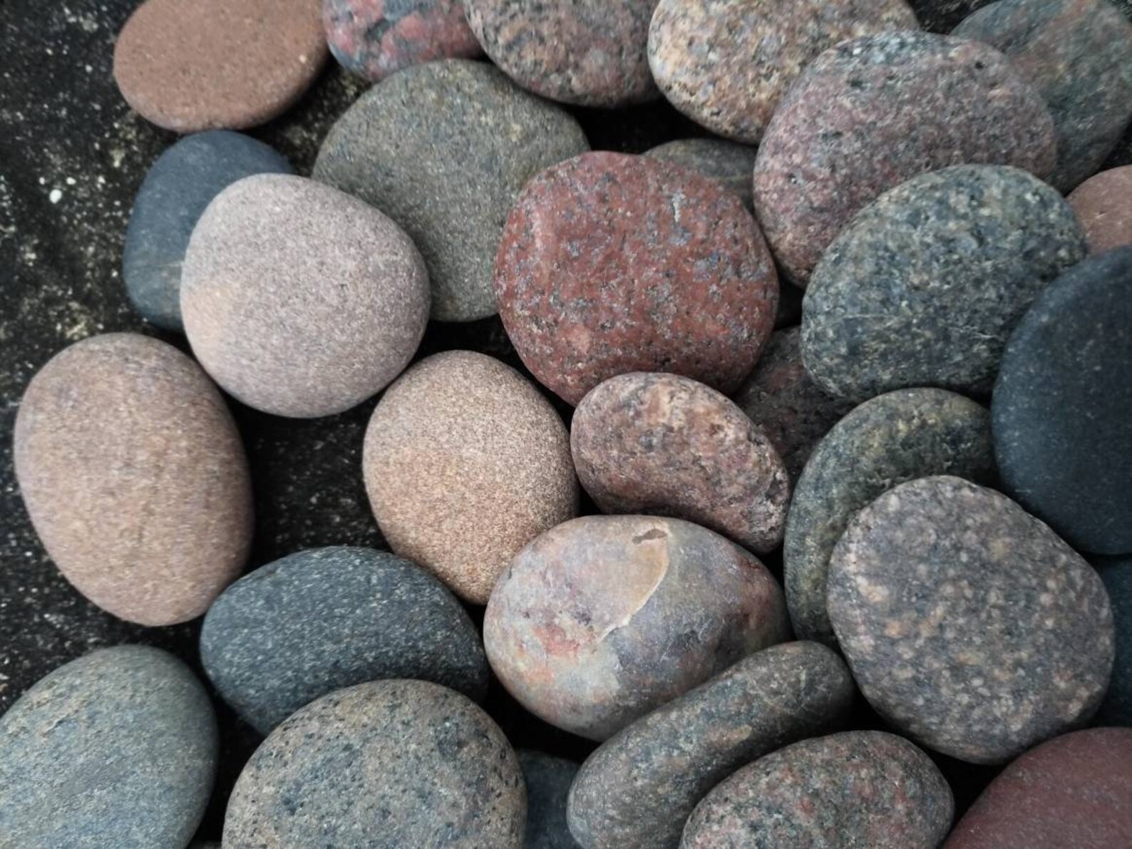 40 Beach Stones for Sale Sea Stones Baltic Beach Treasures - Etsy