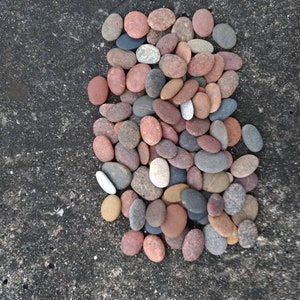 Oblong Tiny Beach Stones 100 Pcs - Etsy