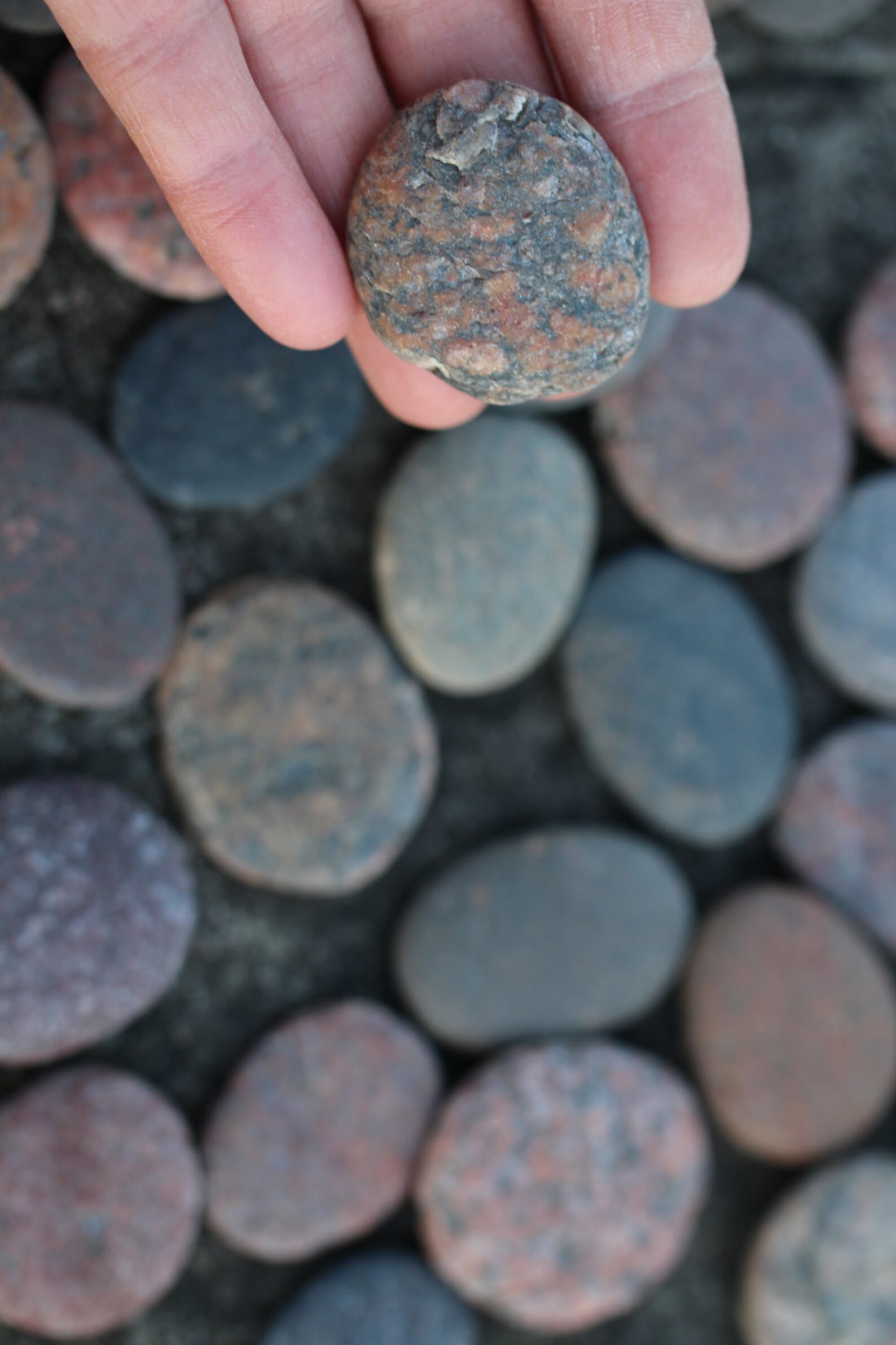 40 Beach Stones for Sale Sea Stones Baltic Beach Treasures - Etsy