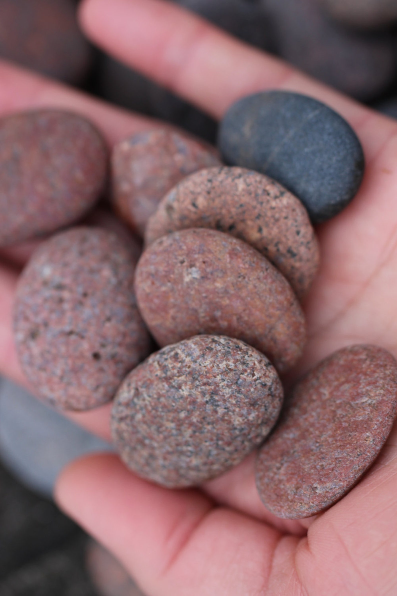 Medium Sea Stones in Bulk 60 Pcs Beach Stones - Etsy