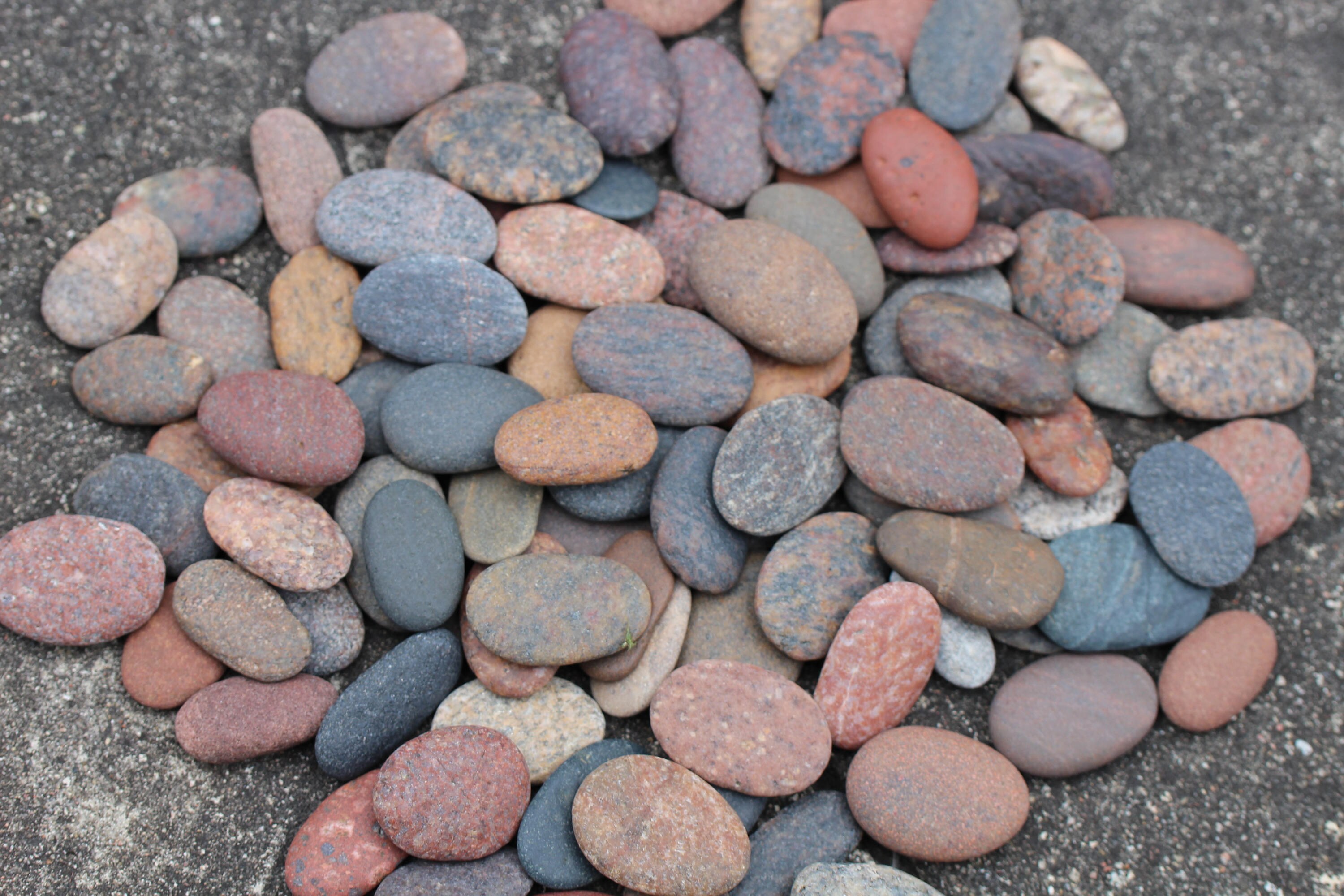 Oval Shaped Beach Rocks Sea Stones Oval Pebbles Bulk 100 pcs | Etsy