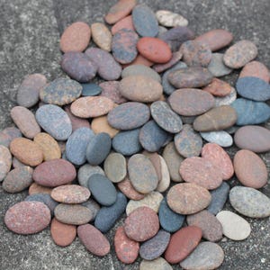 Oval Shaped Beach Rocks Sea Stones Oval Pebbles Bulk 100 Pcs SMALL - Etsy