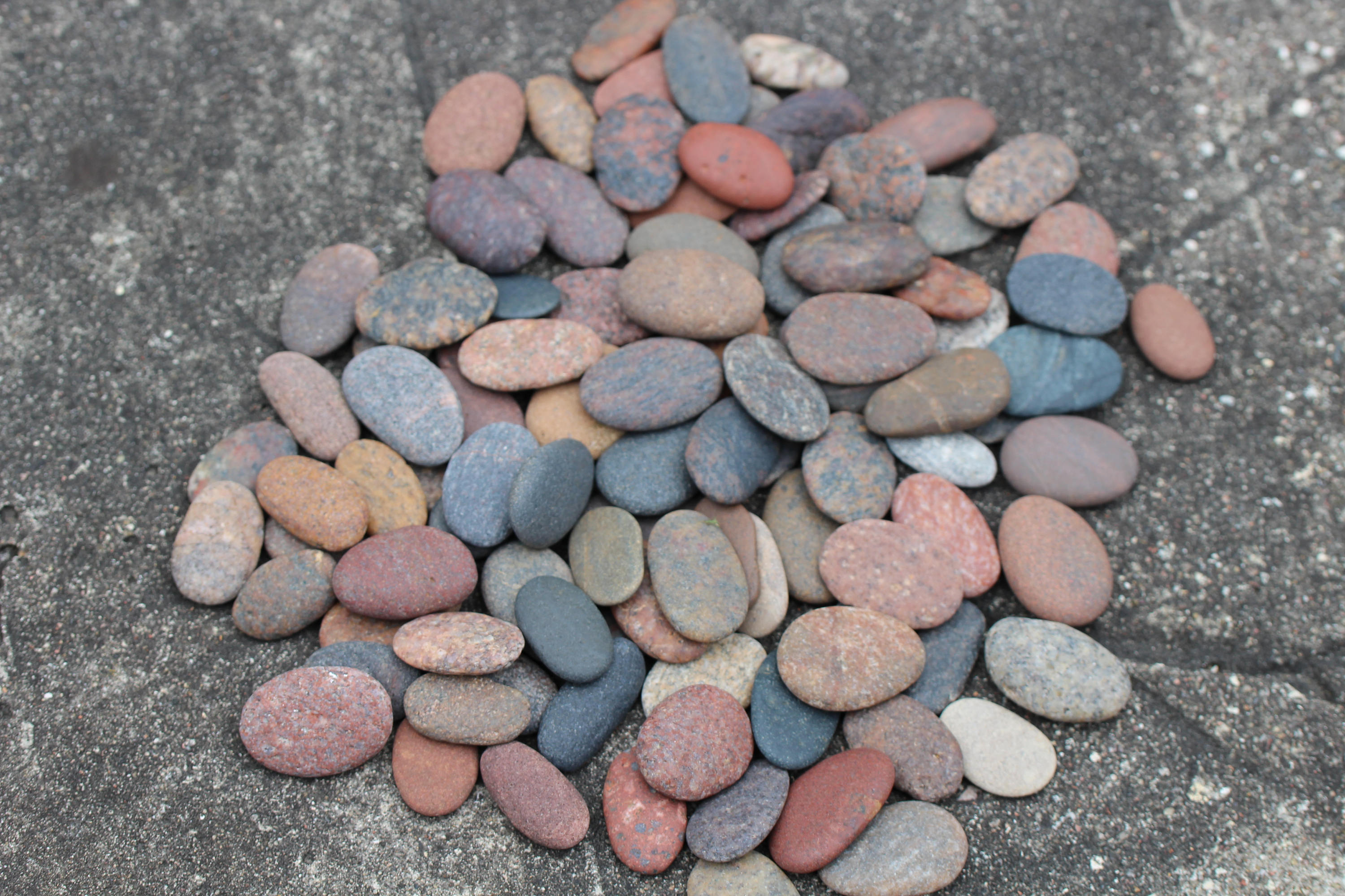 Oval Shaped Beach Rocks Sea Stones Oval Pebbles Bulk 100 Pcs - Etsy