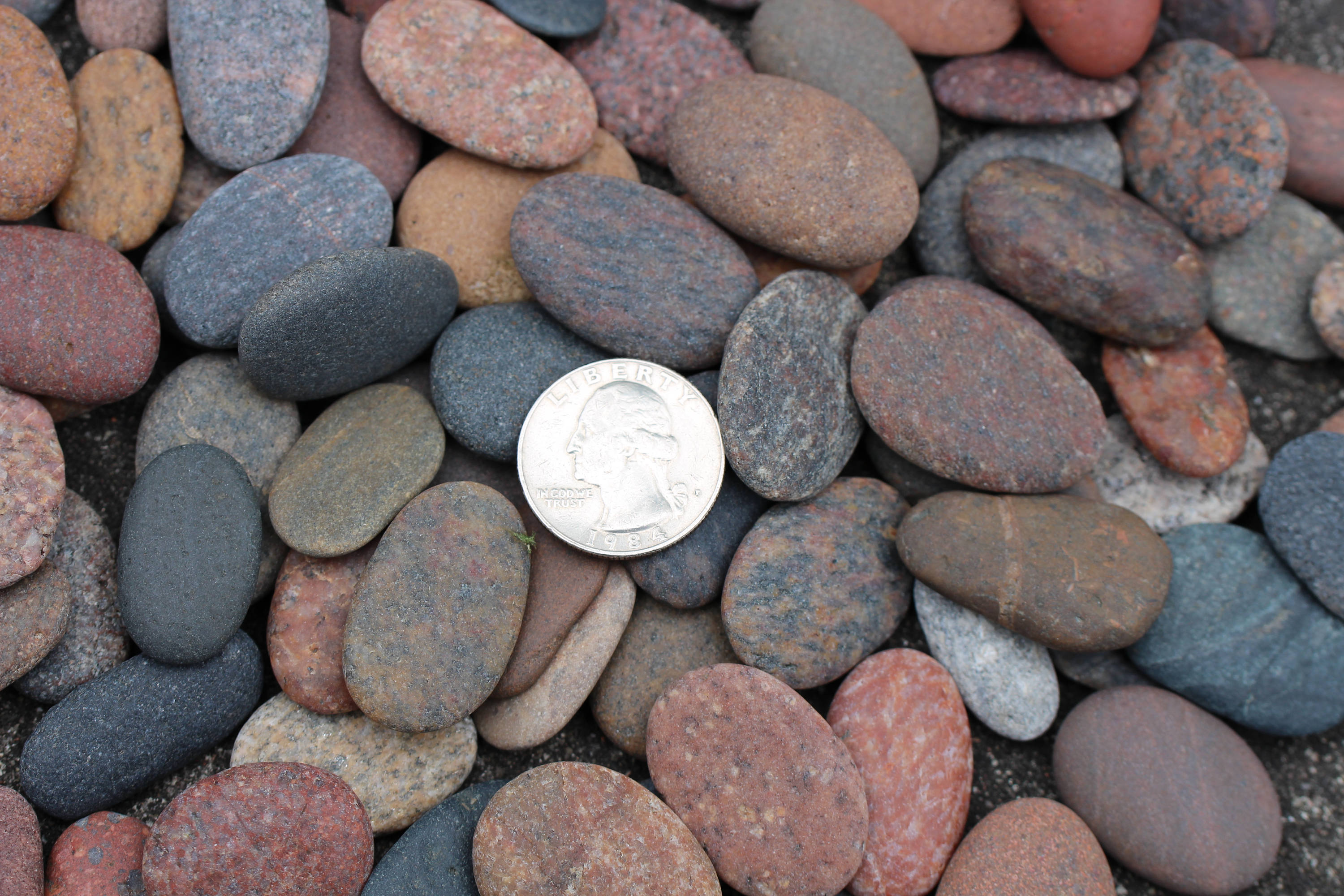 Oval Shaped Beach Rocks Sea Stones Oval Pebbles Bulk 100 Pcs - Etsy