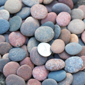 Round Sea Stones Bulk 100 Pcs SMALL - Etsy