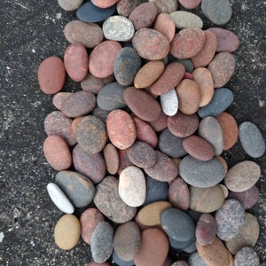 Oblong Tiny Beach Stones 100 Pcs - Etsy