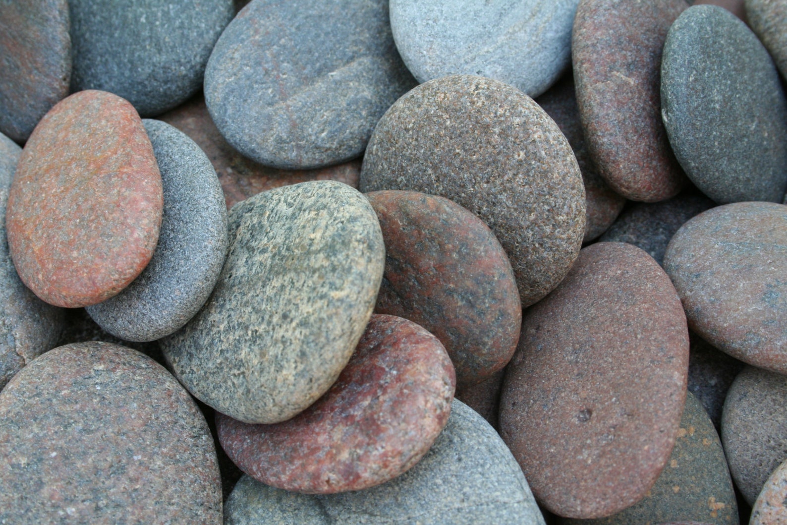 35 Large Flat Beach Stones Flat Sea Stones Wedding Stones | Etsy