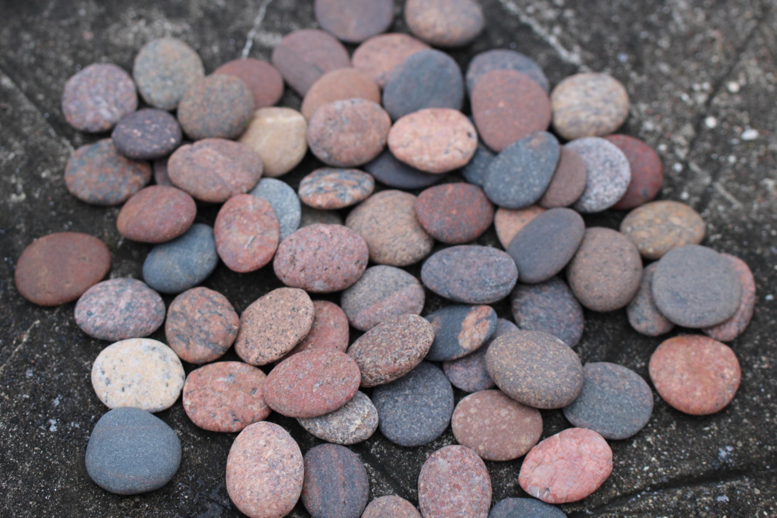 Medium Sea Stones in Bulk 60 Pcs Beach Stones - Etsy