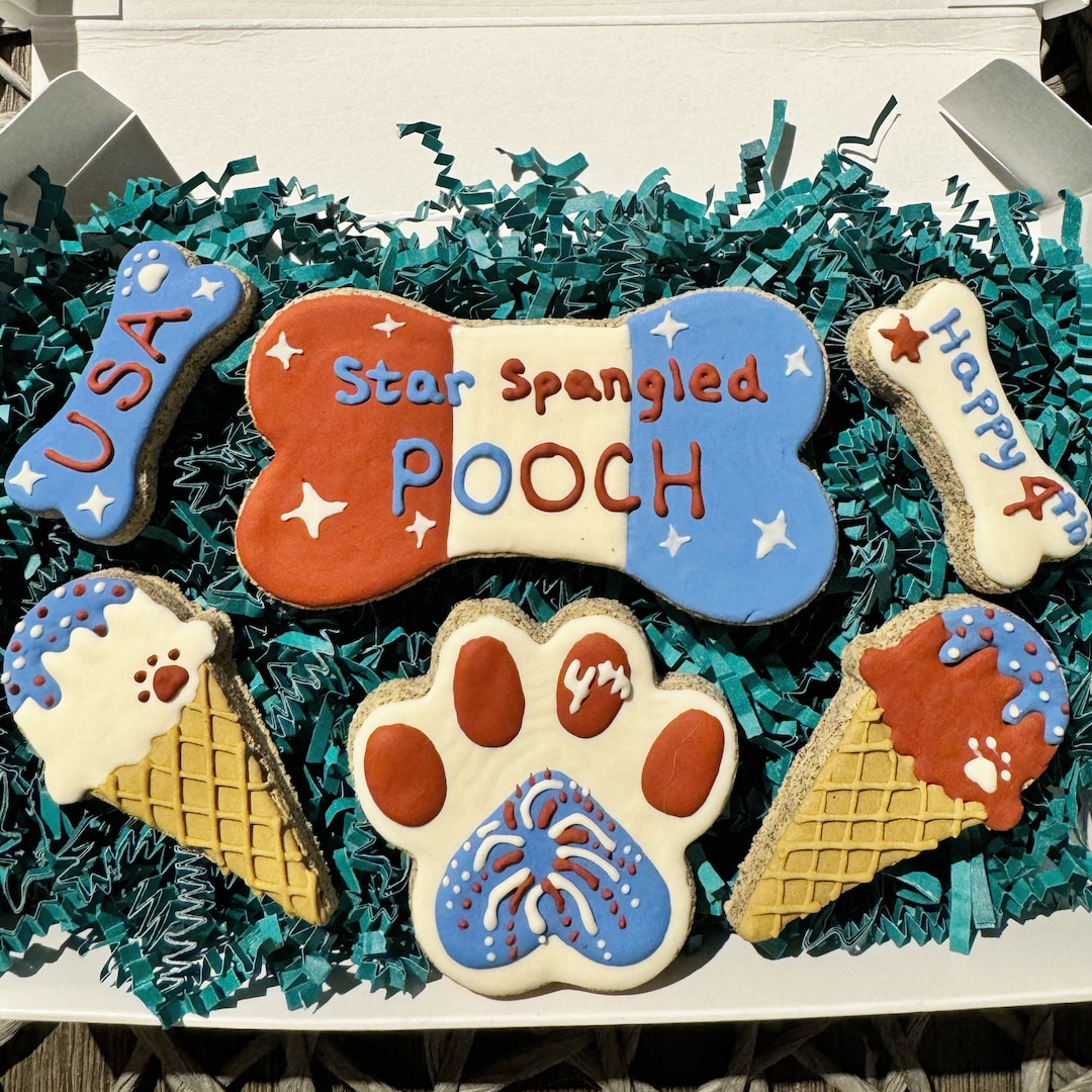 Fourth of July Dog Treats, Cookout Dog Cookies, Happy Barkday Box, All ...