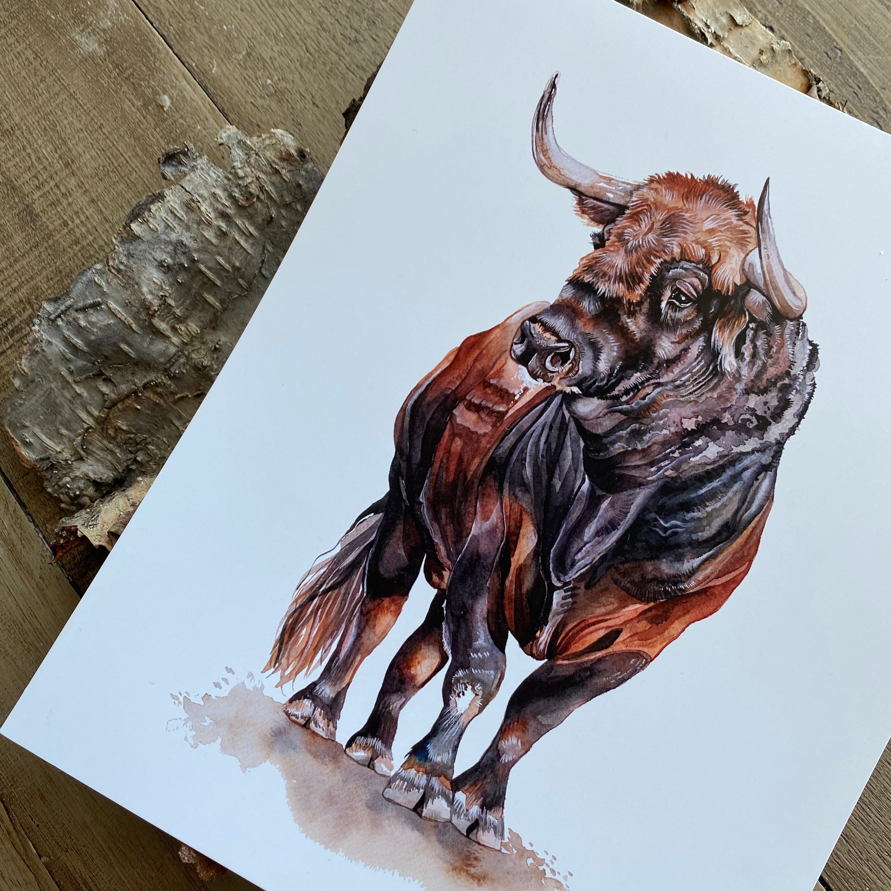 Western Ox Watercolour Art Print Oxen Illustration Home | Etsy