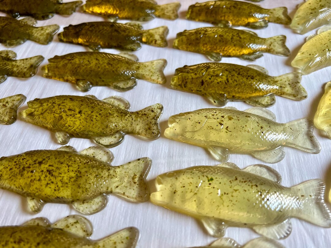 Fish Soap | Made in Minnesota - Etsy
