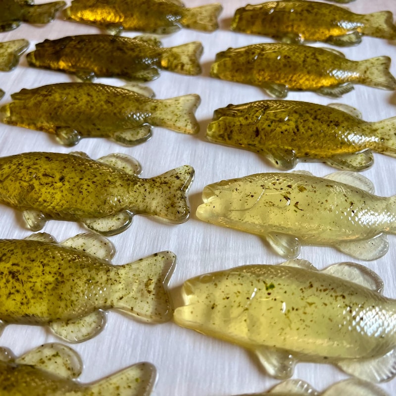 Clear Lake Fish - Etsy