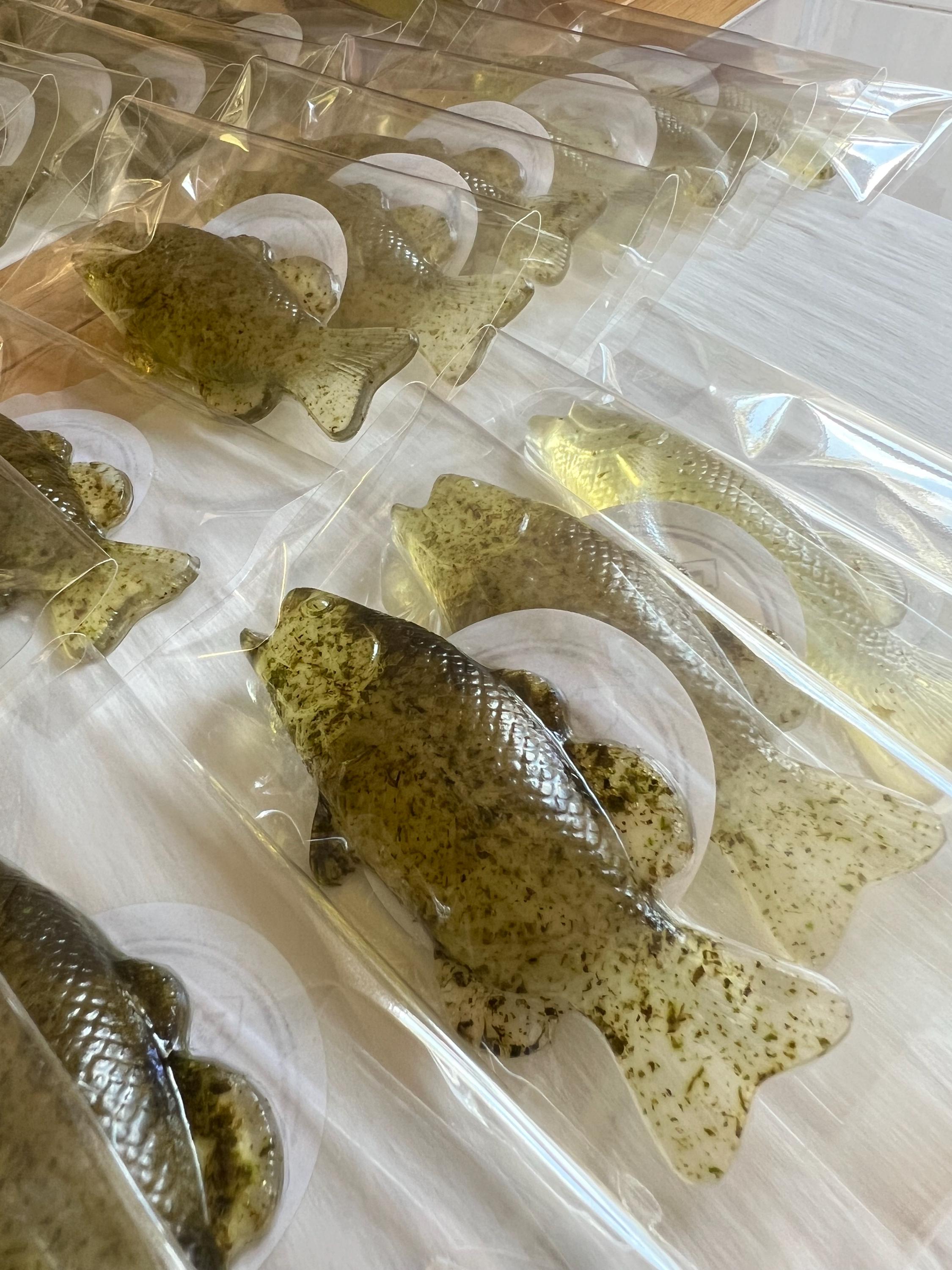 Fish Soap | Made in Minnesota - Etsy