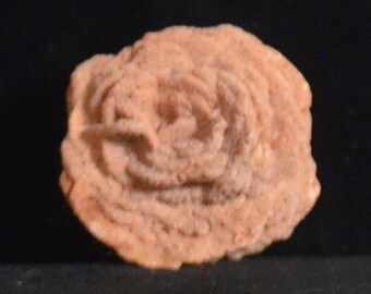 Medium Sized Barite Rose Rocks From Oklahoma Lots of Specimens - Etsy