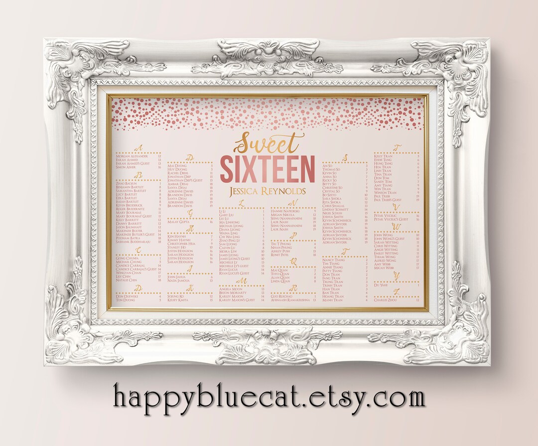 Sweet Sixteen Seating Chart RUSH SERVICE Confetti Sprinkle Sweet 16 ...