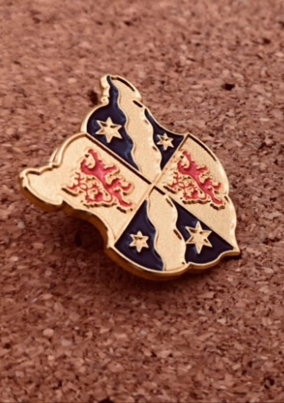 Picard Family Crest Pin Badge - Etsy