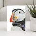 Puffin Greeting Card, Puffin Card, Card Blank Inside, Nautical Card ...
