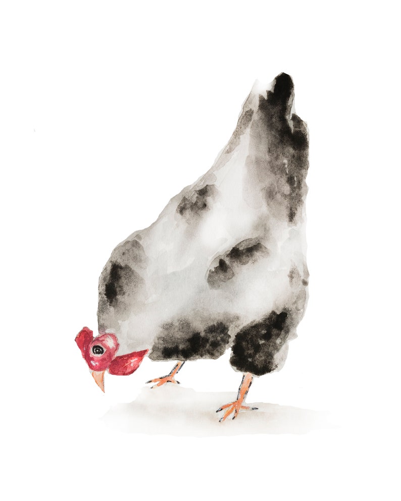 Printable Watercolor Chicken Print Chicken Watercolor Art - Etsy