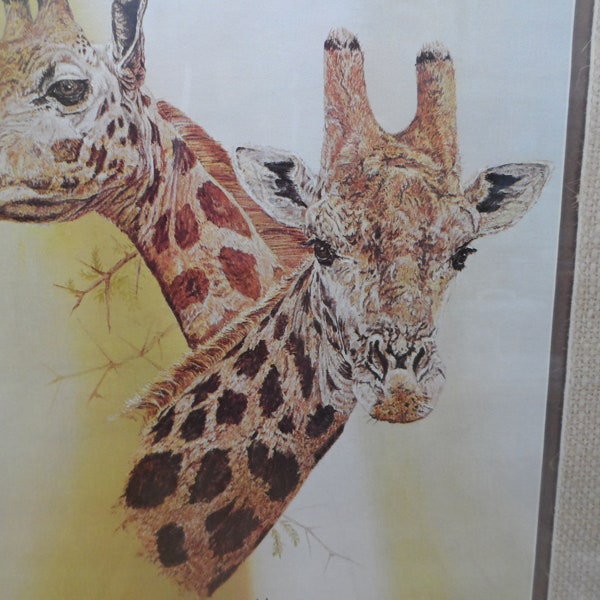 Vintage Quintel Antimagnetic Pocket Watch Hunter Theme, Mechanical ...