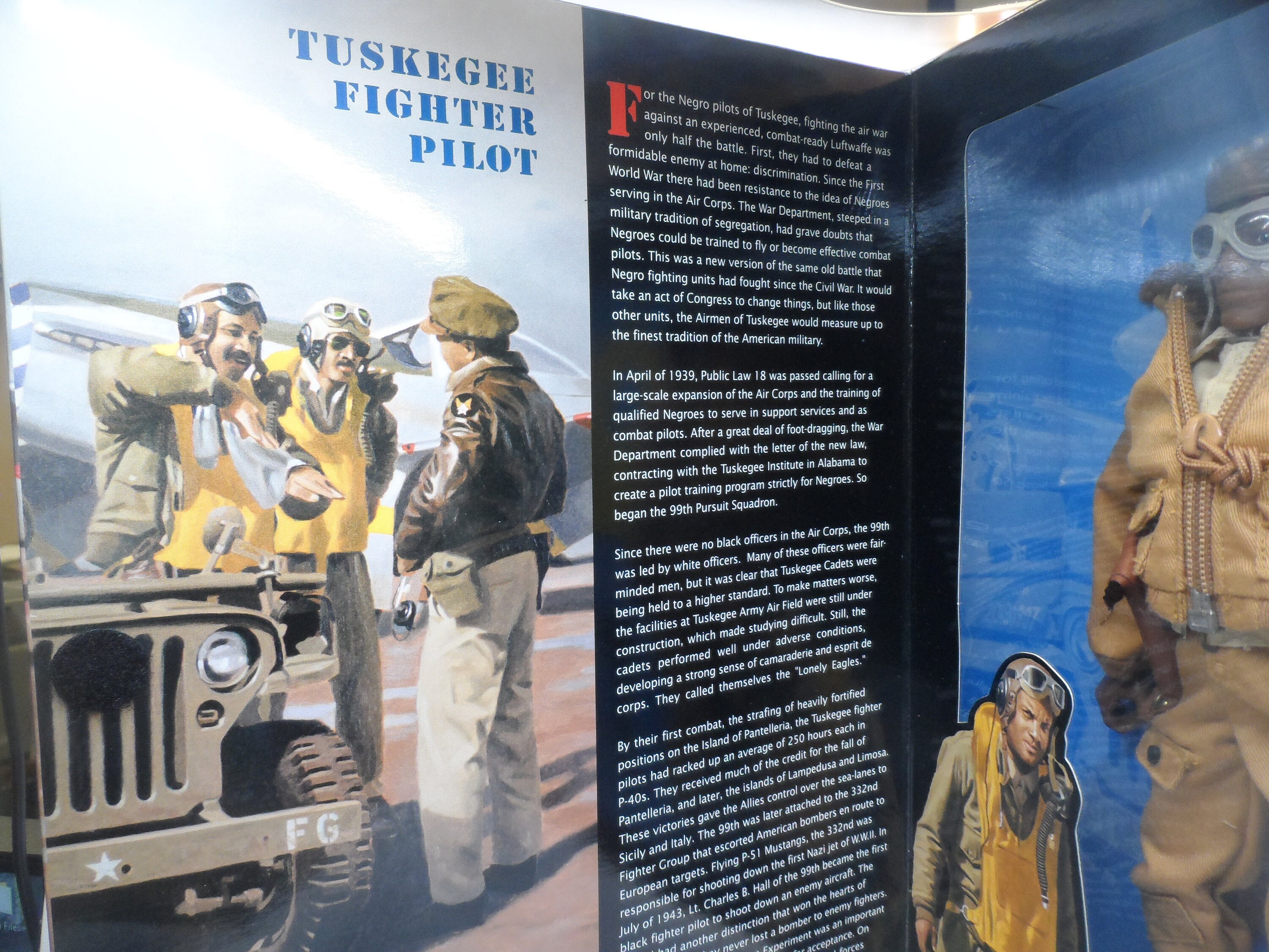 Vintage Hasbro GI Joe Tuskegee Fighter Pilot, 1:6 Scale GI Joe WWII ...