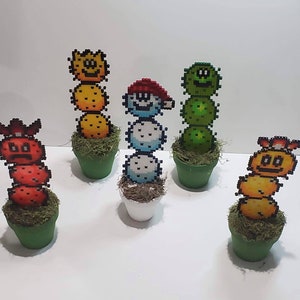 Mario Brothers Plants, Pokey, Cactus, Video Game Plants, Mario Plants ...