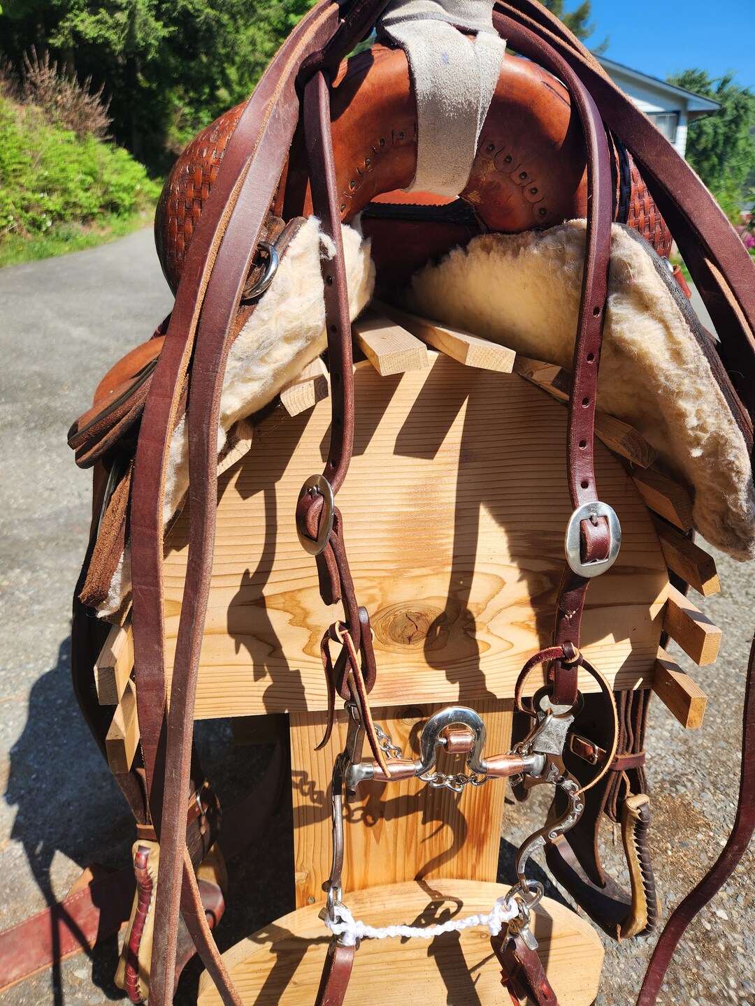 Soft One Ear Bridle Setup - Etsy
