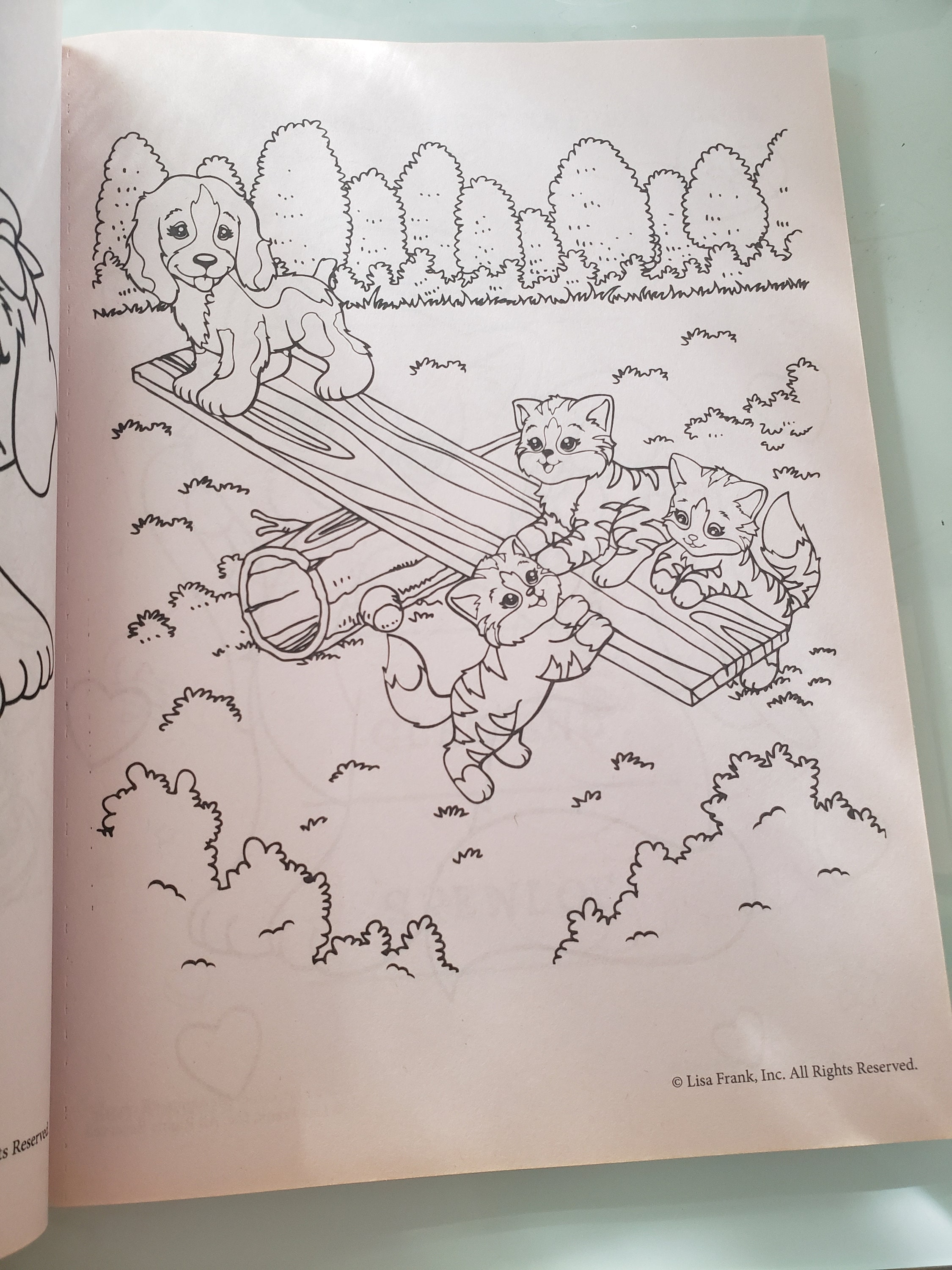 Lisa Frank Coloring Book Vintage Cute Cat Coloring Book - Etsy