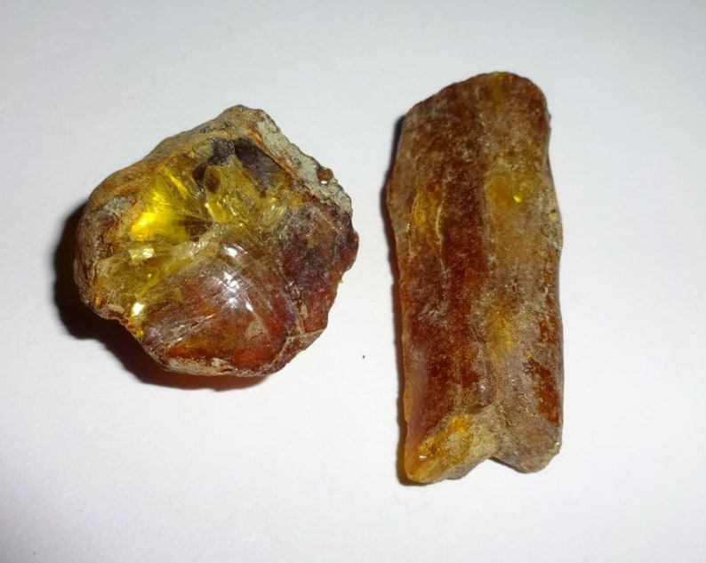 Amber Fossilized Tree Sap Amber From Indonesia Natural Raw - Etsy