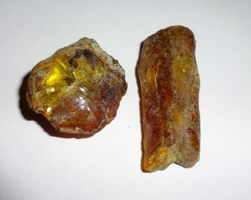 Amber Fossilized Tree Sap Amber From Indonesia Natural Raw - Etsy Sweden
