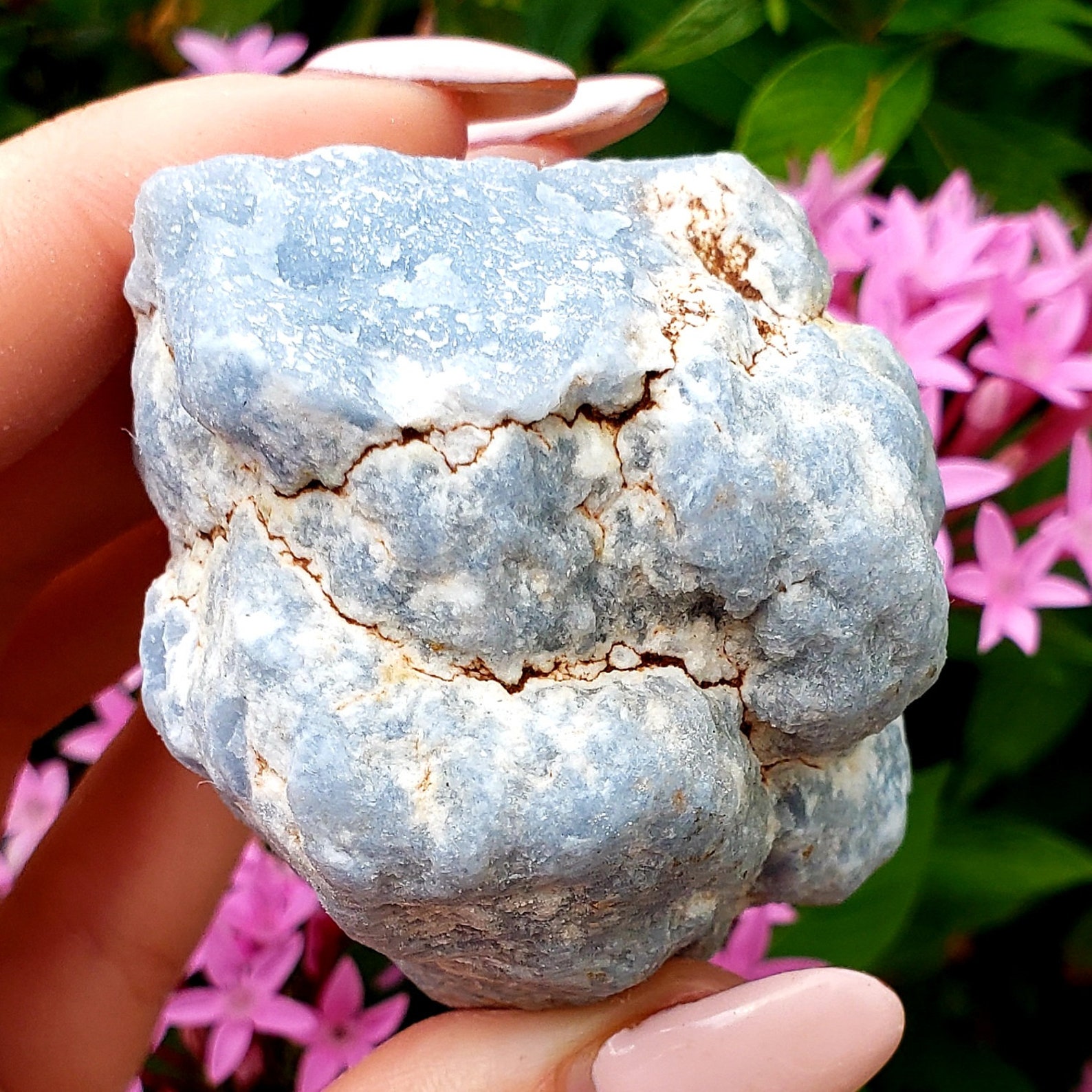 Angelite Natural Rough Raw Crystal Healing Gemstone Spiritual - Etsy