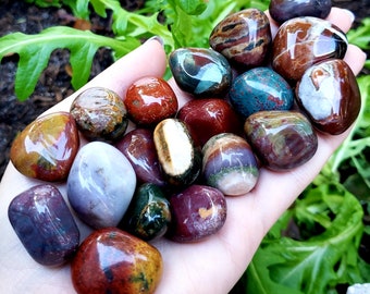 Fancy Jasper | Etsy