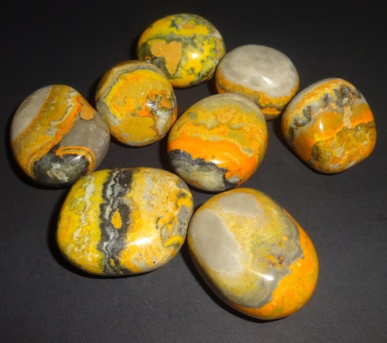 Bumble Bee Jasper Bumblebee Natural Healing Crystal Gemstone | Etsy