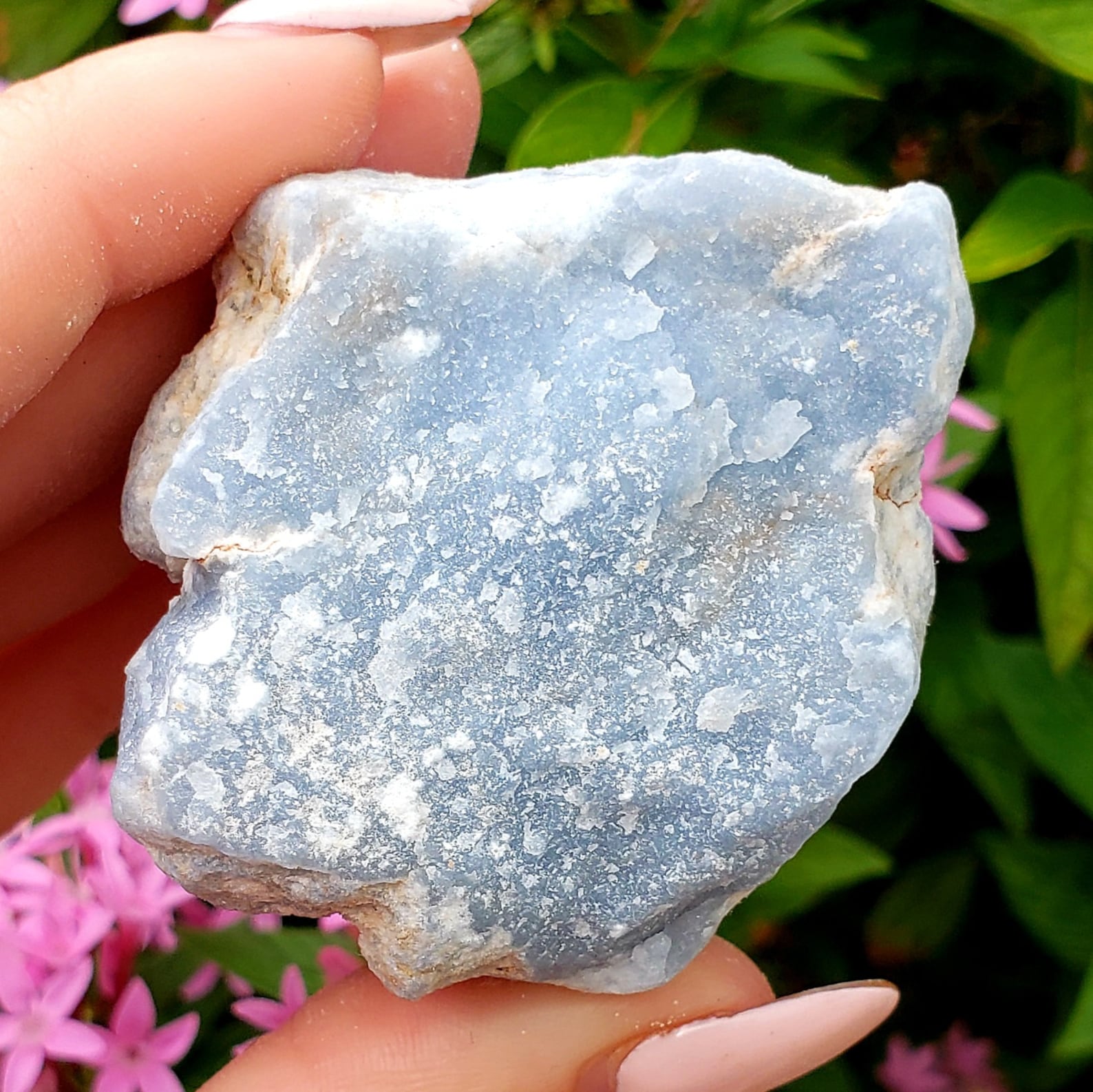 Angelite Natural Rough Raw Crystal Healing Gemstone Spiritual - Etsy