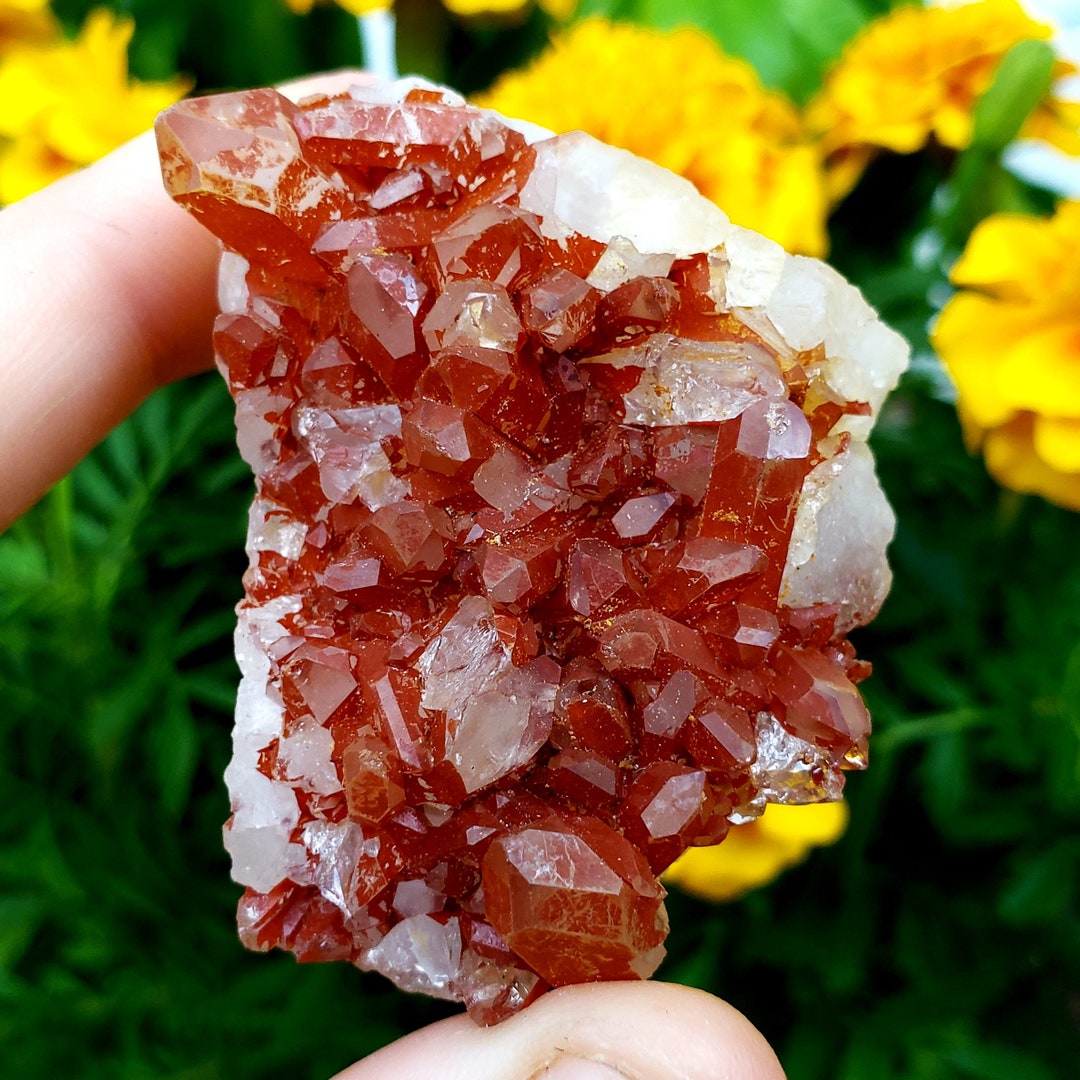 Red Dragon Quartz Multi Point Cluster Red Phantom Quartz Red Hematite ...