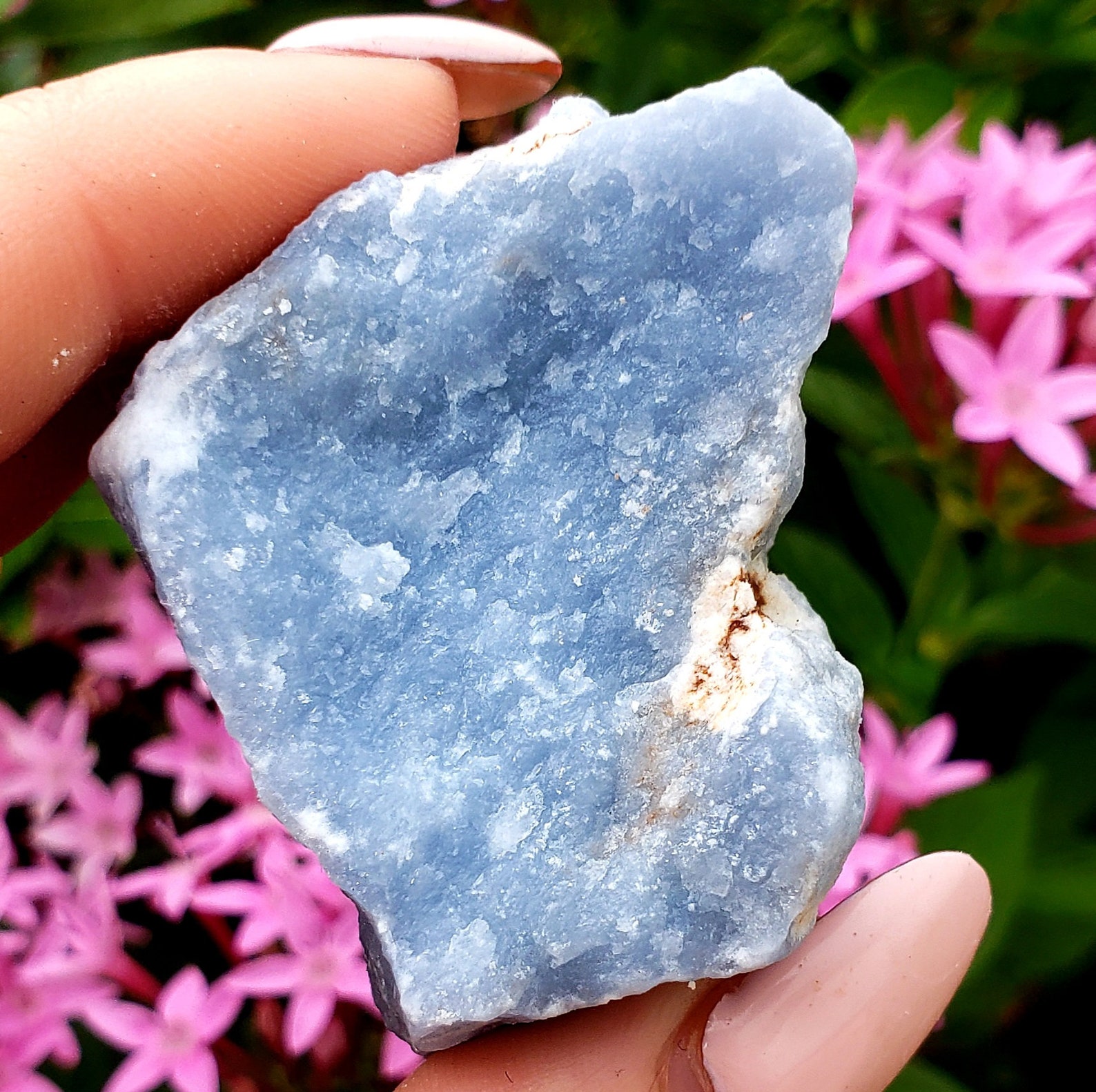 Angelite Natural Rough Raw Crystal Healing Gemstone Spiritual - Etsy