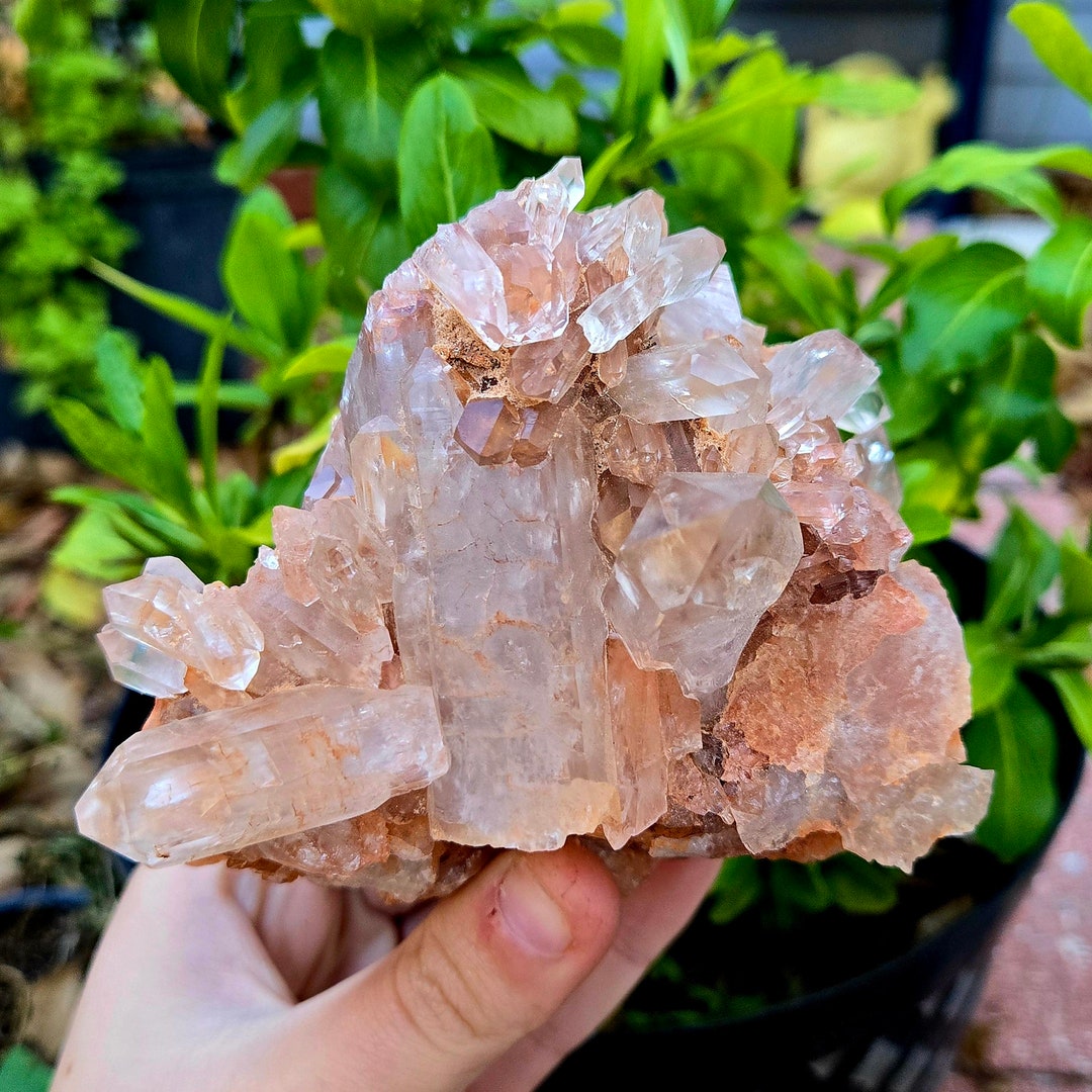 Red Dragon Quartz Multi Point Cluster Phantom Quartz Hematite Large ...